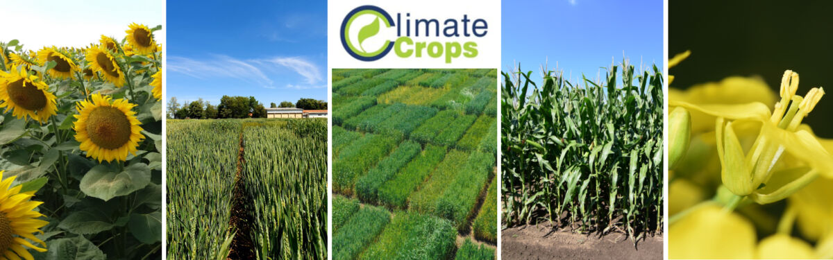 CLIMATE CROPS – Centre of Excellence